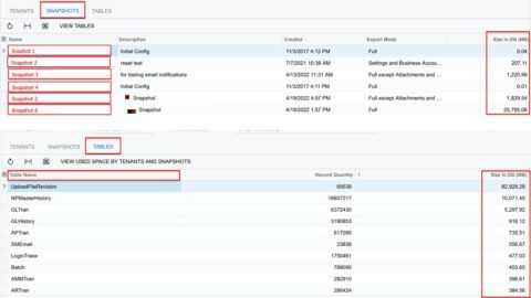 Monitoring Your Acumatica Usage